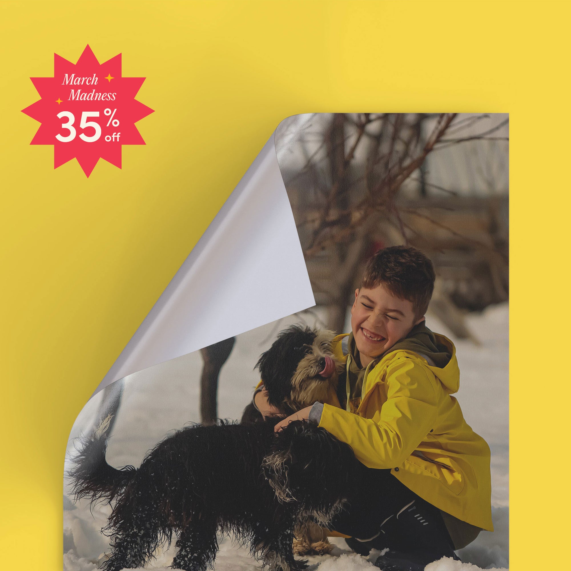 Custom Wall Decal Poster Prints: Wall Decor Stickers - Posterjack