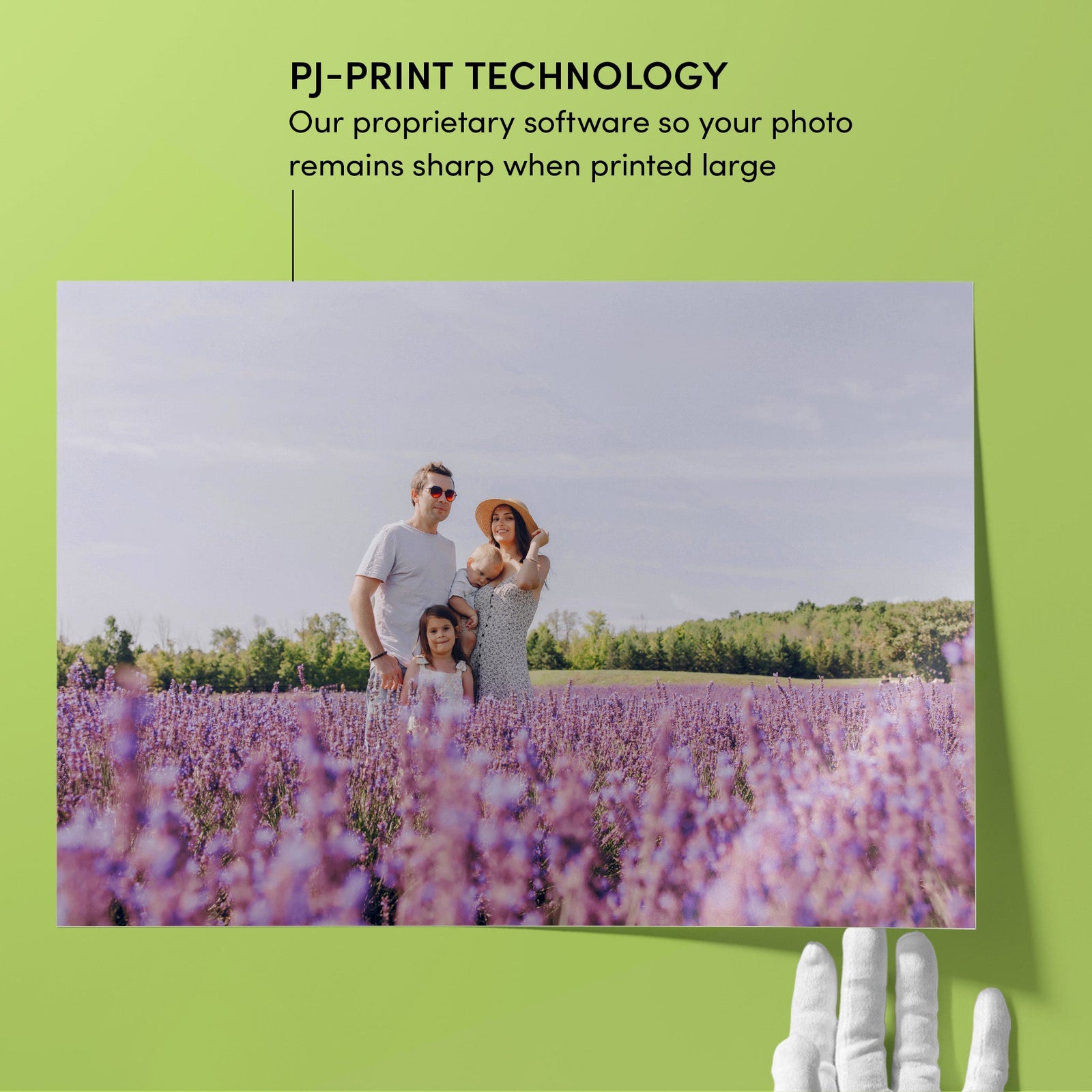 Matte and Satin Photo and Poster Prints | Posterjack