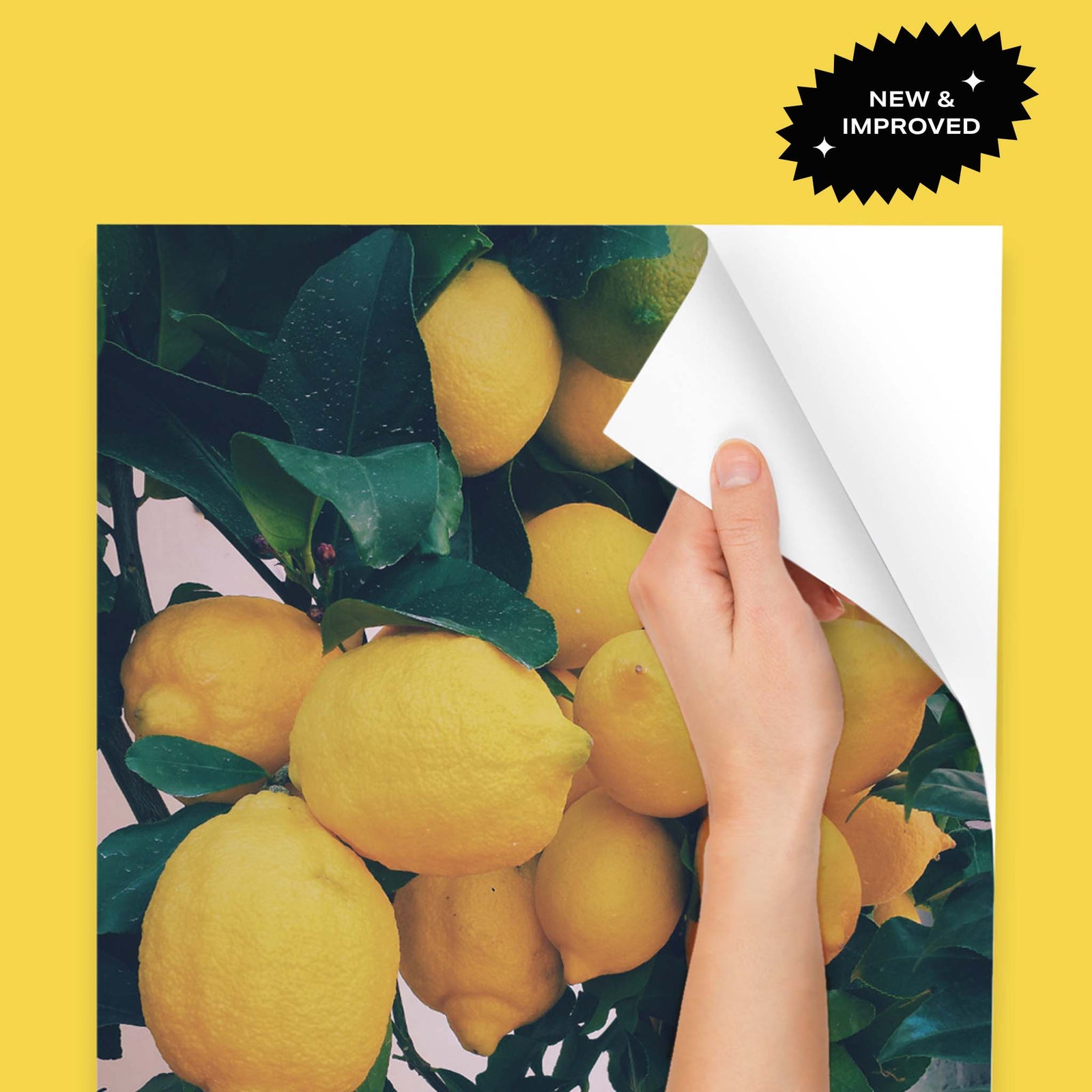 Custom Wall Decal Poster Prints: Wall Decor Stickers - Posterjack