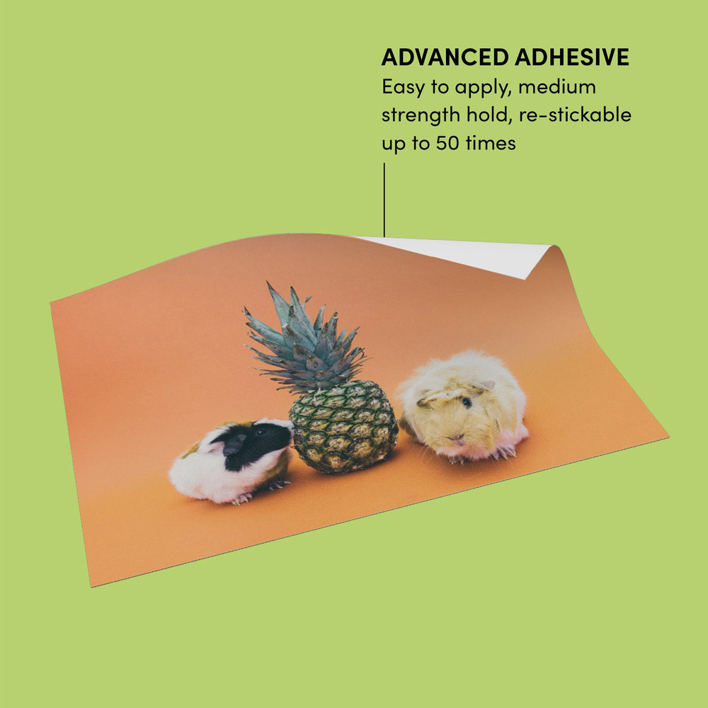 Custom Wall Decal Poster Prints: Wall Decor Stickers - Posterjack