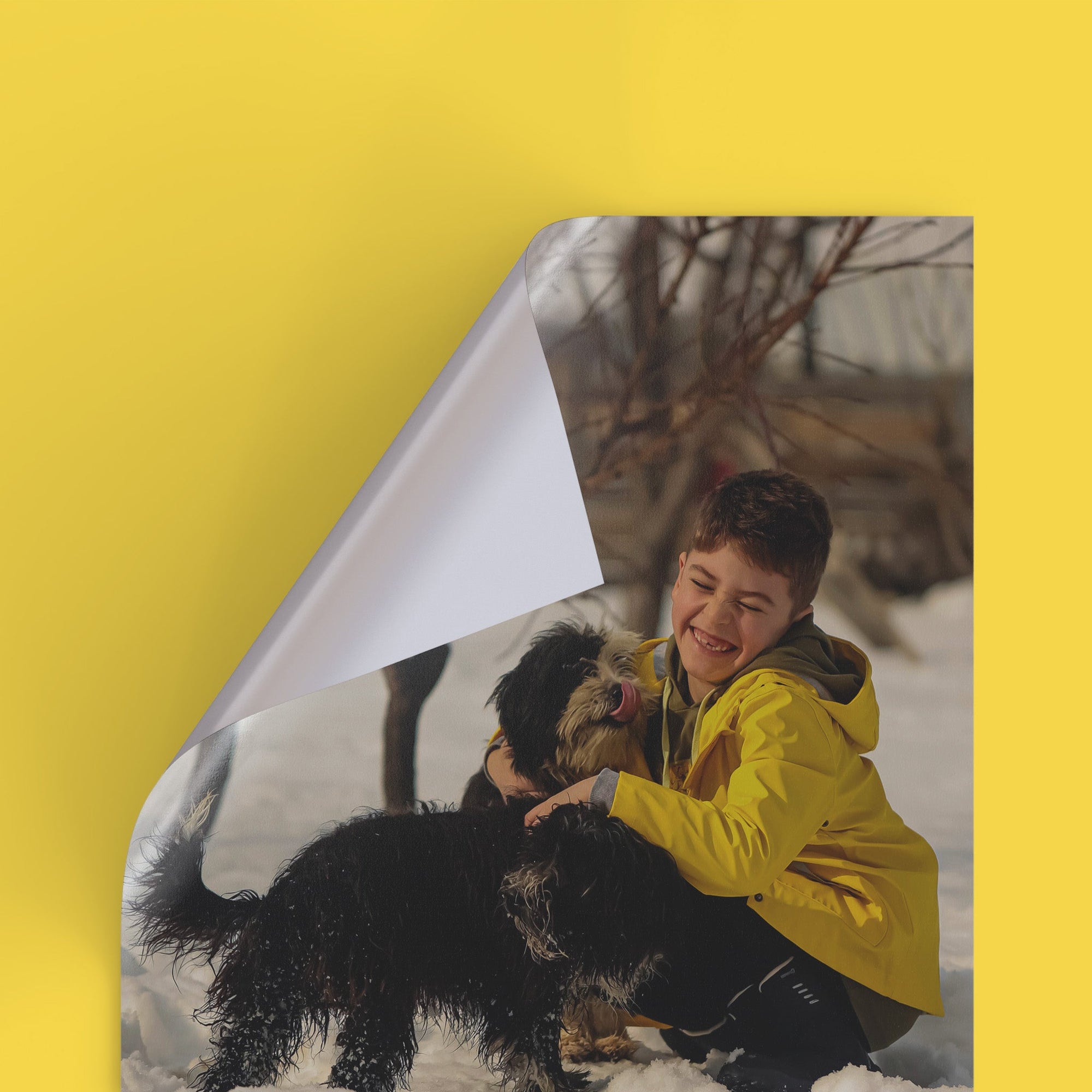 Custom Wall Decal Poster Prints: Wall Decor Stickers - Posterjack