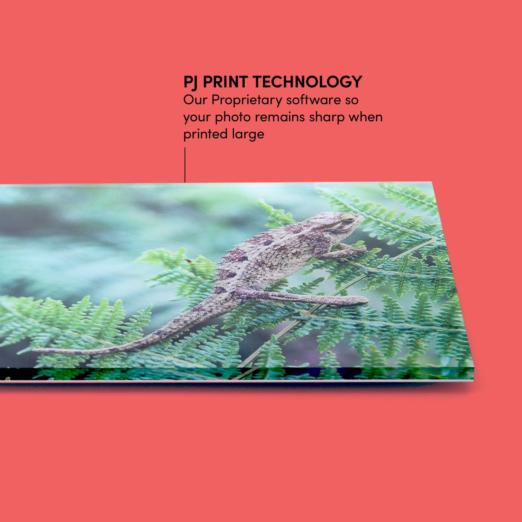 Acrylic Prints: Custom Acrylic Wall Art & Acrylic Photos by Posterjack