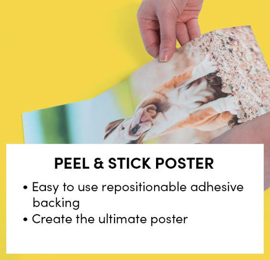 All – Posterjack USA